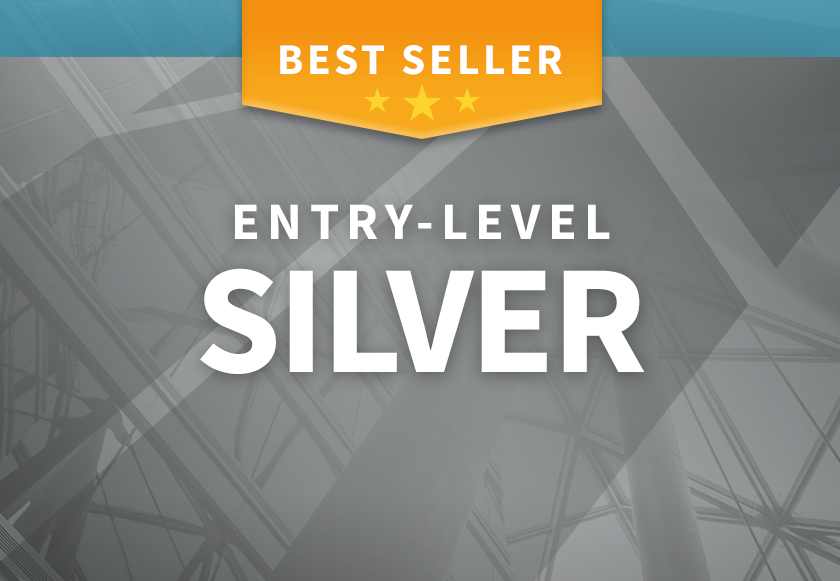 Entry-Level Resume Writing Services - Silver Package